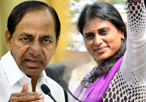 కేసీఆర్ ఆంధ్రా బిడ్డ.. షర్మిల తెలంగాణ బిడ్డ! టీకాంగ్రెస్ నేత సంచలనం ...