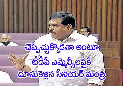 చెప్పిచ్చుక్కొడతా అంటూ టీడీపీ ఎమ్మెల్సీల పైకి దూసుకెళ్లిన సీనియర్ ...