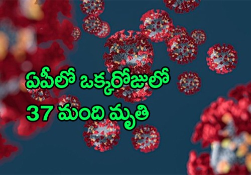 ఏపీలో ఒక్కరోజులో 37 మంది మృతి | corona deaths in andhra pradesh| corona ...