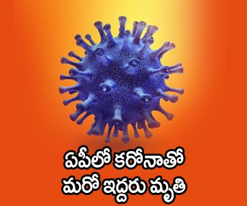 ఏపీలో కరోనాతో మరో ఇద్దరు మృతి | corona deaths in andhra pradesh| corona ...