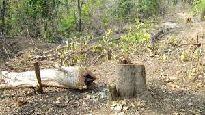 సర్కార్ పై ఇద్దరు టీఆర్ఎస్ ఎమ్మెల్యేల యుద్ధం! ఏం జరగనుందో... | podu ...