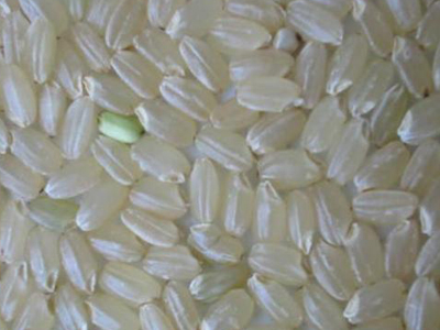 ప్లాస్టిక్ బియ్యం.. జర జాగ్రత్త | China Plastic Rice| Plastic Rice ...